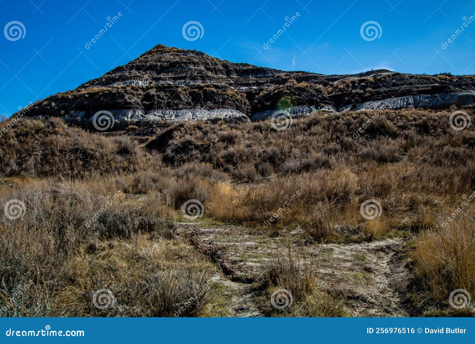 Early in the Spring, Badlands. Drumheller Alberta, Canada Stock Photo ...