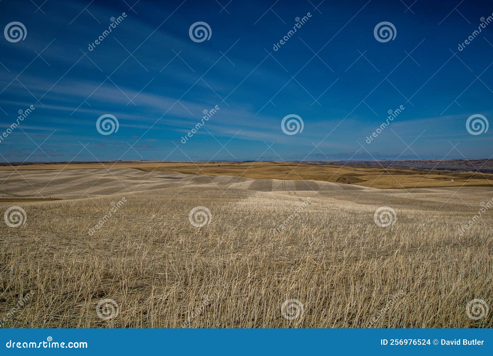 Early in the Spring, Badlands. Drumheller Alberta, Canada Stock Photo ...