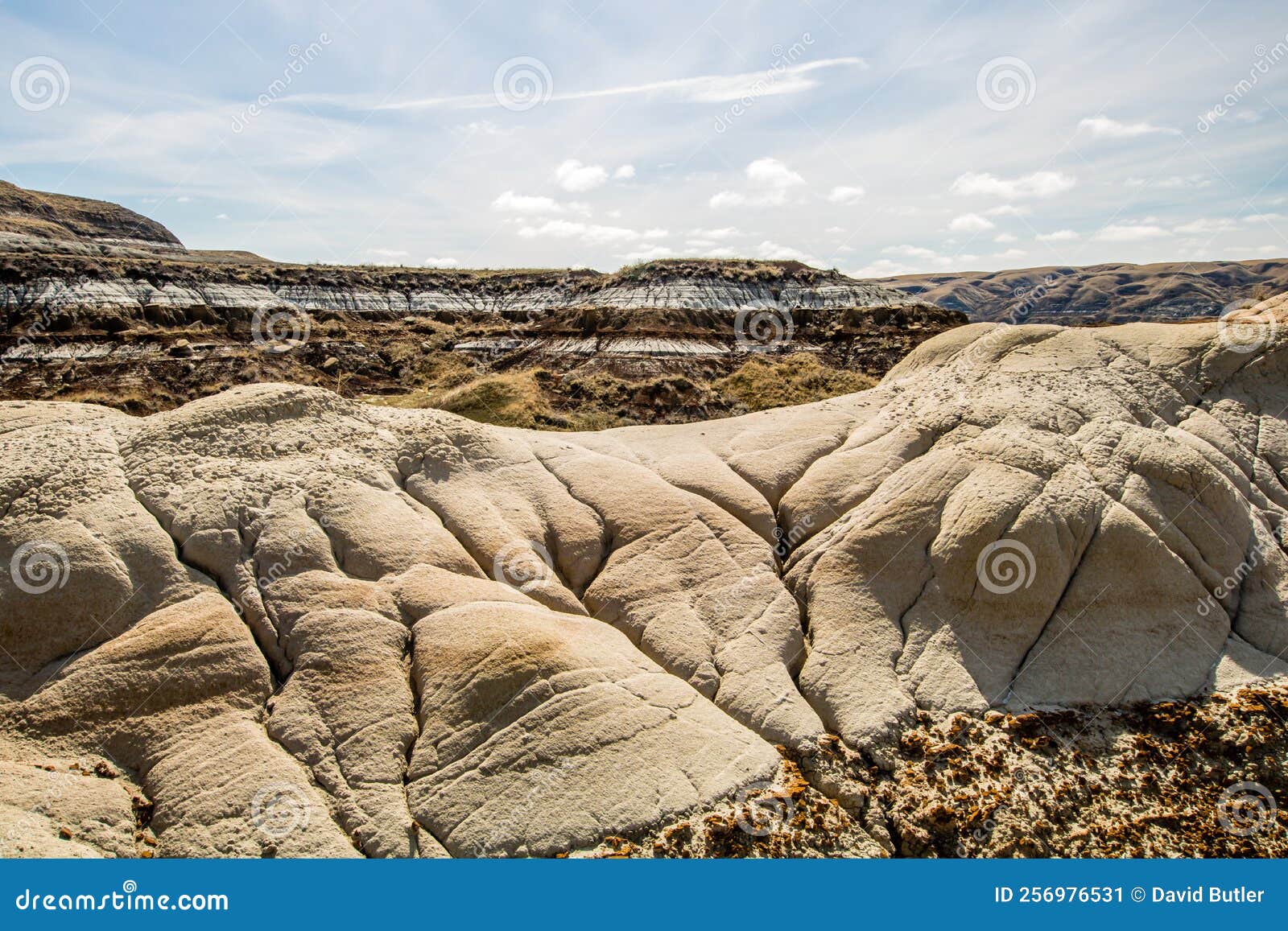 Early in the Spring, Badlands. Drumheller Alberta, Canada Stock Image ...