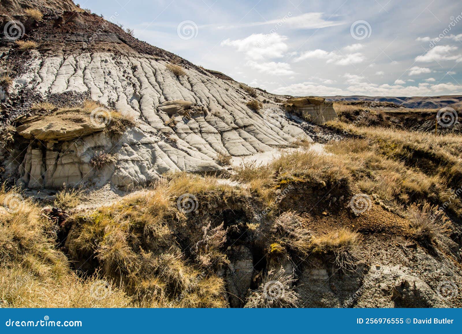 Early in the Spring, Badlands. Drumheller Alberta, Canada Stock Image ...