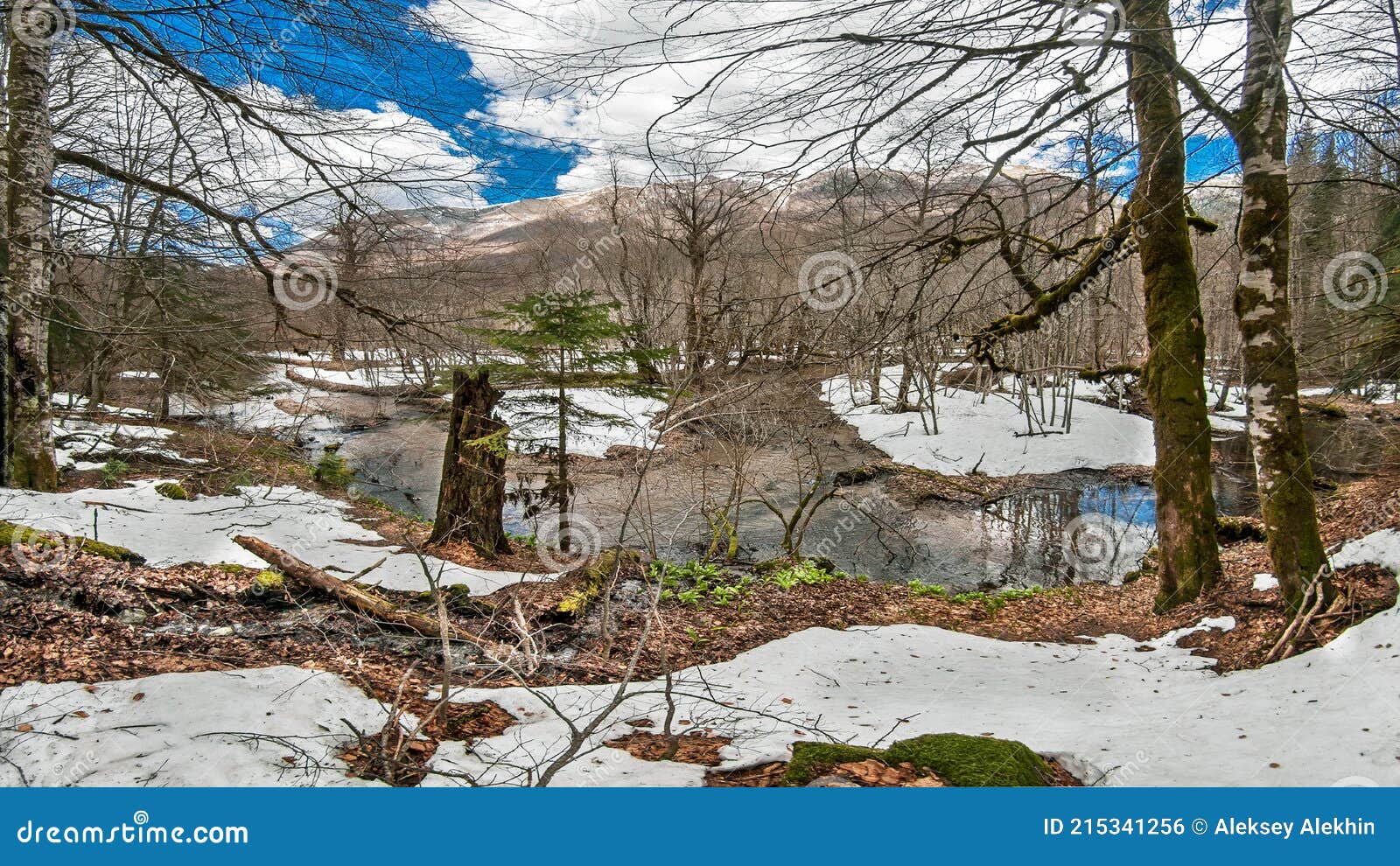 Early Spring in the Balkans Stock Photo - Image of branch, snow: 215341256