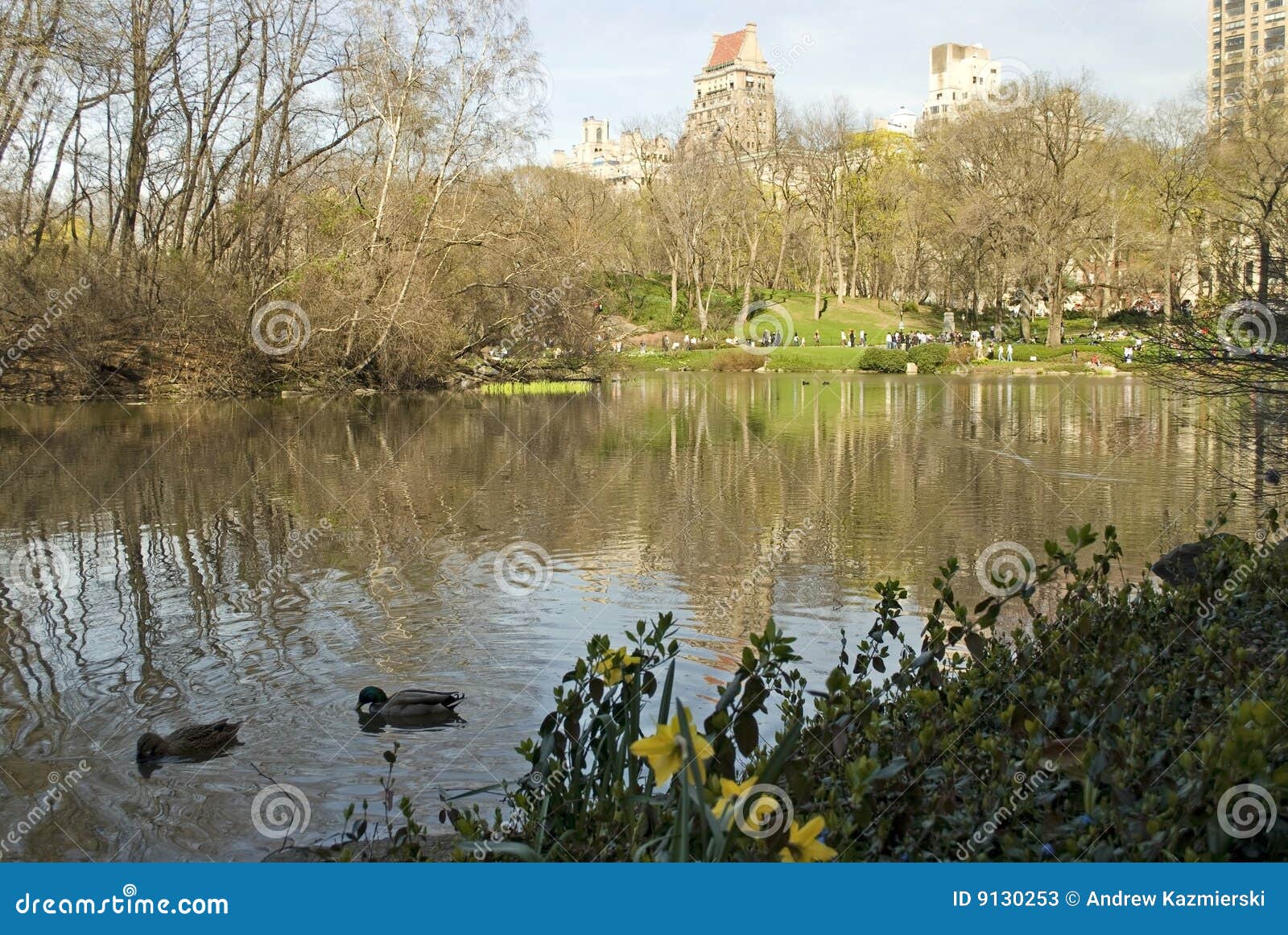 Early Spring, Central Park stock image. Image of manhattan - 9130253