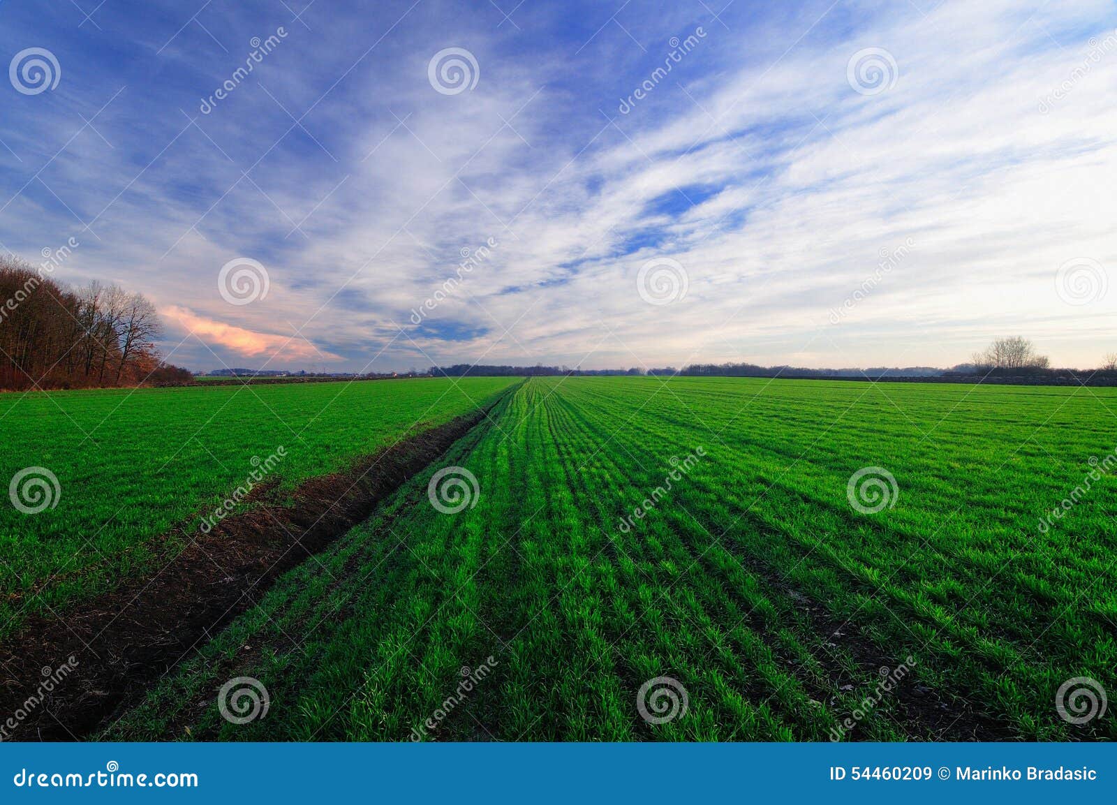 Early Spring in the Countryside Stock Image - Image of early, landscape ...