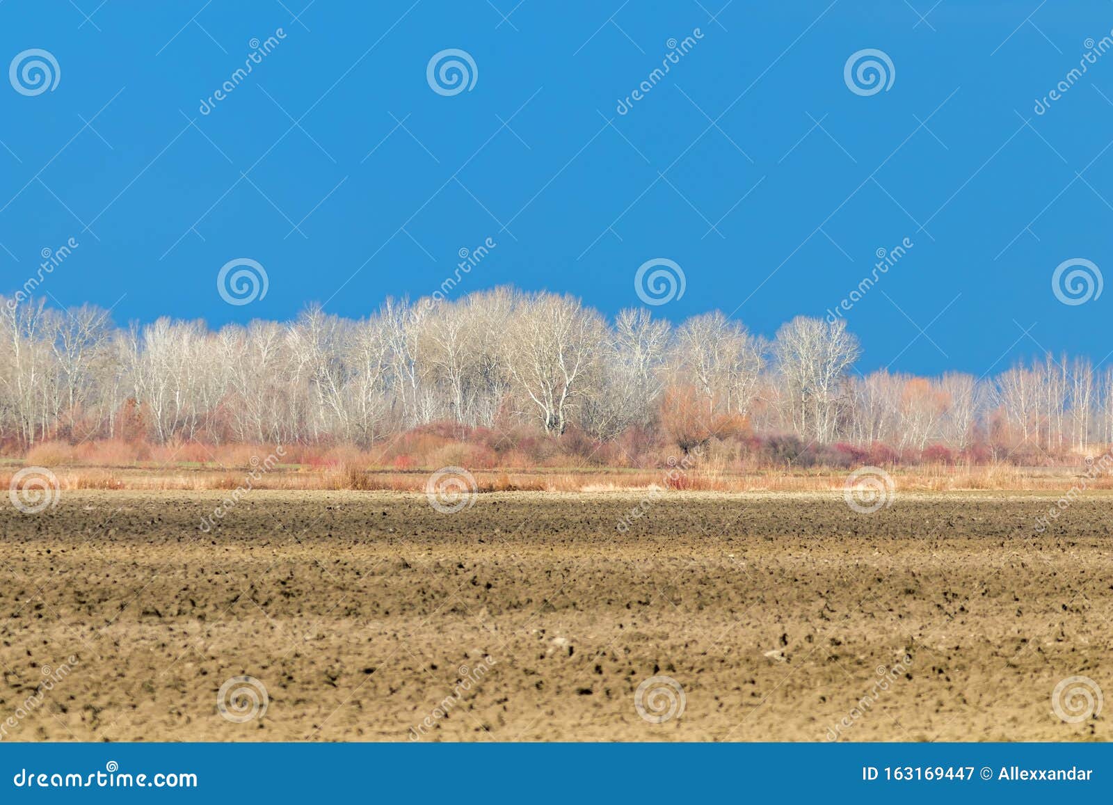 Early Spring Countryside Landscape, Early Spring Sunny Day in a Field ...