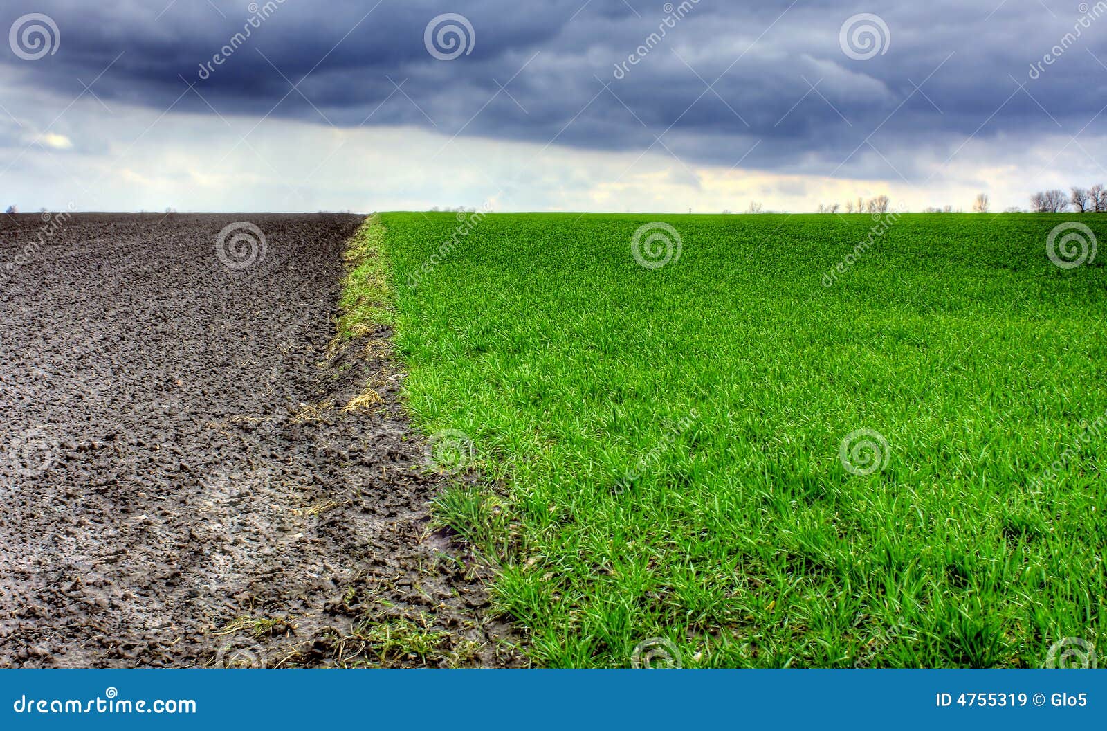 Early spring field stock image. Image of agriculture, field - 4755319