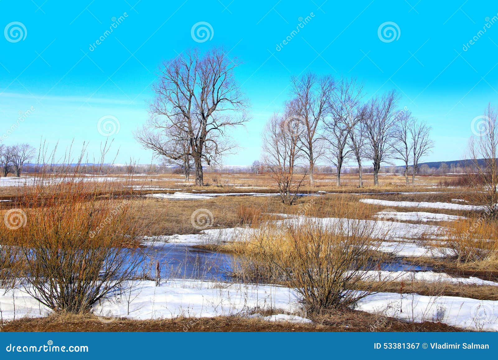 Early spring in the field stock image. Image of native - 53381367