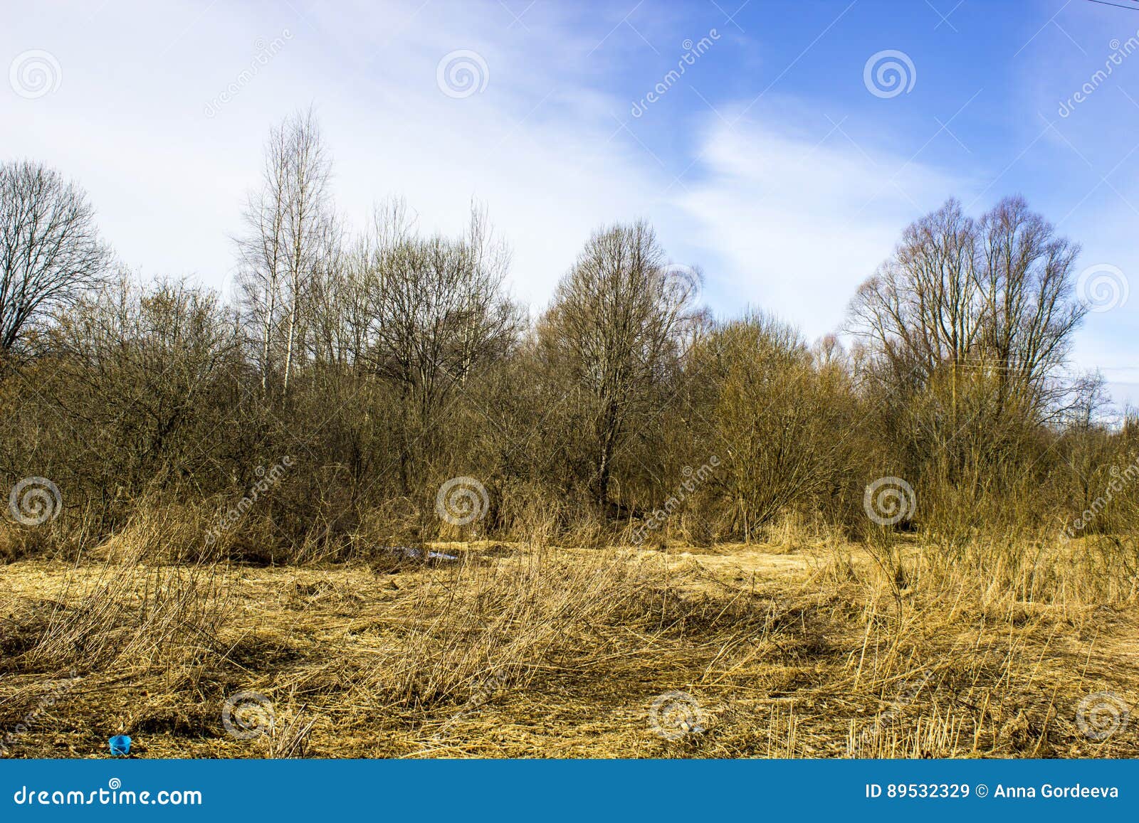 Early Spring in the Field in Russia Stock Image - Image of europe ...