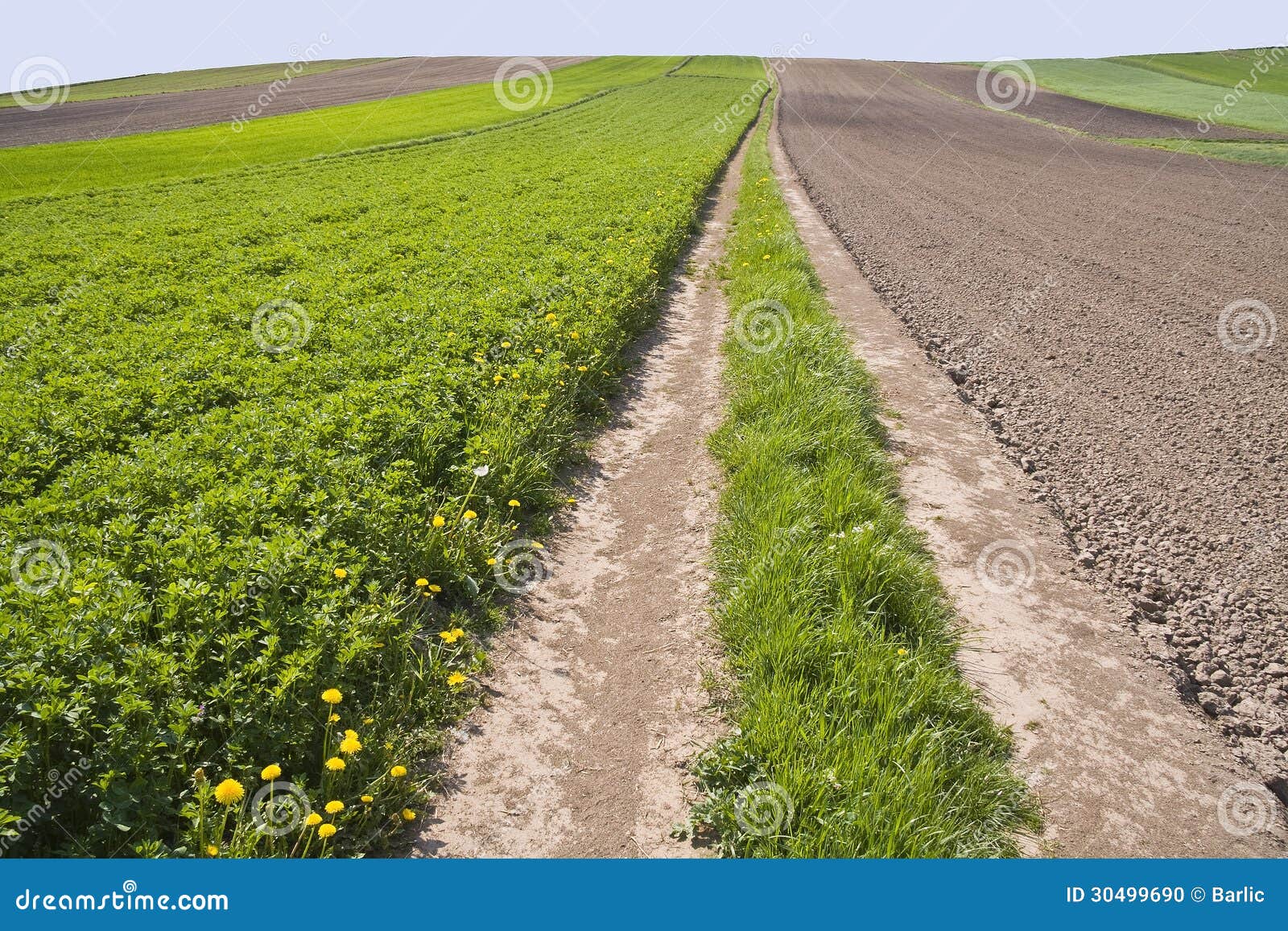Early spring fields stock photo. Image of fresh, agriculture - 30499690