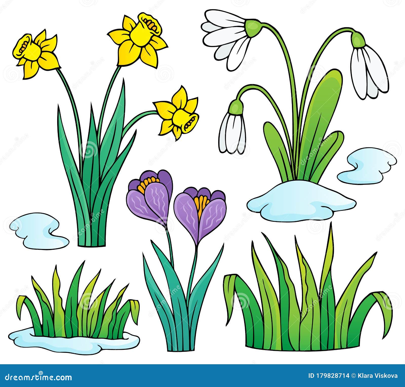 Early Spring Flowers Theme Set 1 Stock Vector - Illustration of nature ...