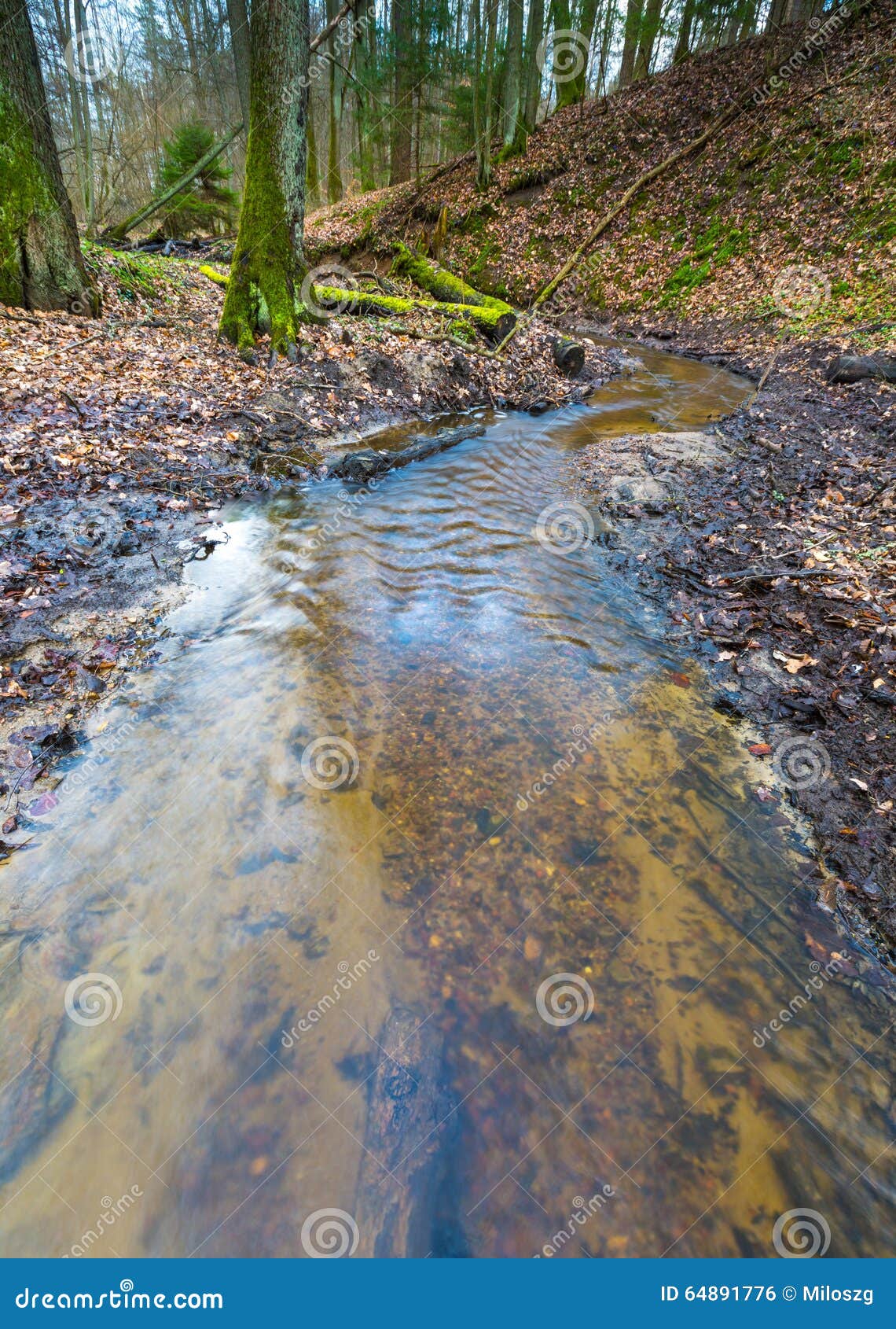 199 Early Springtime Small Creek Stock Photos - Free & Royalty-Free ...