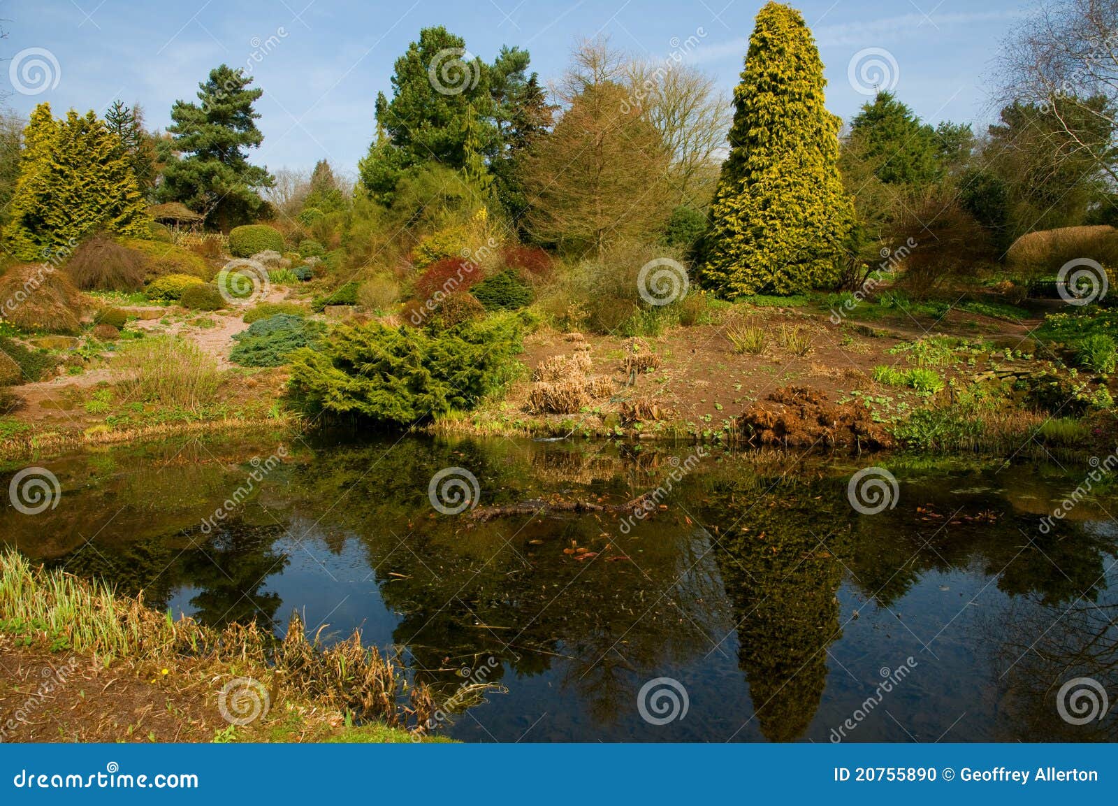 Early spring in the garden stock photo. Image of reflections - 20755890