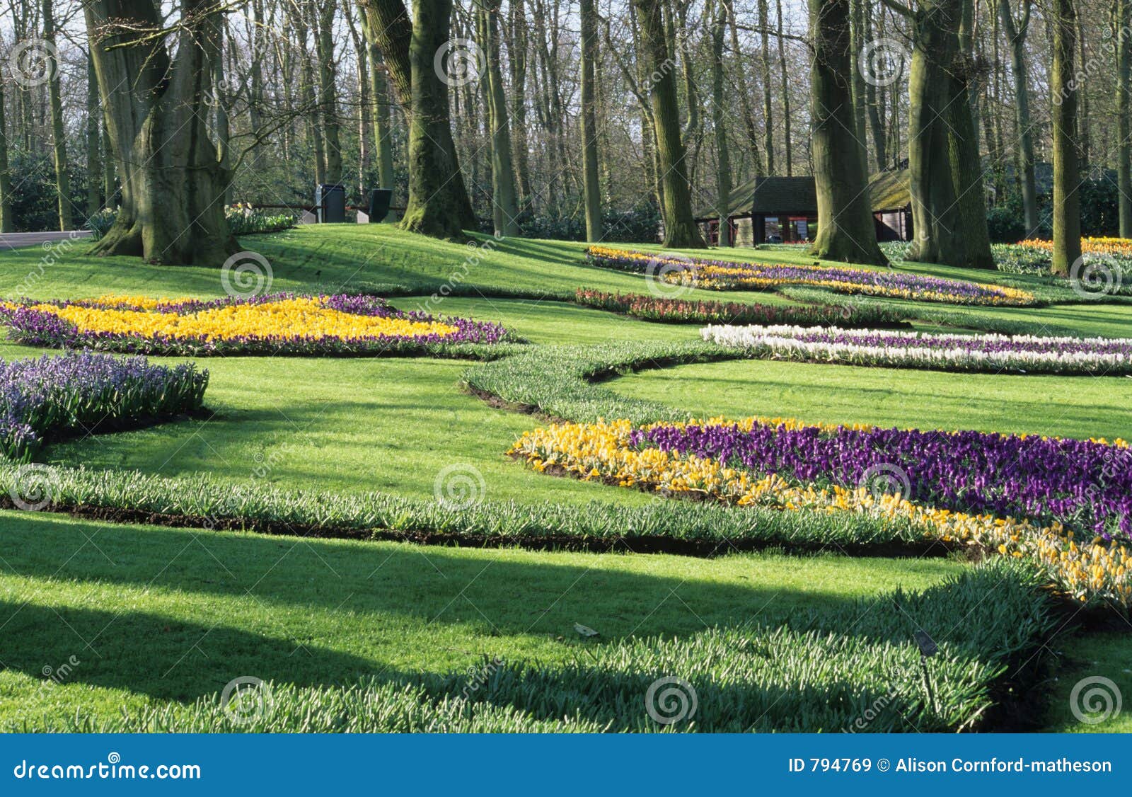 Early Spring Garden stock image. Image of gardening, bloom - 794769