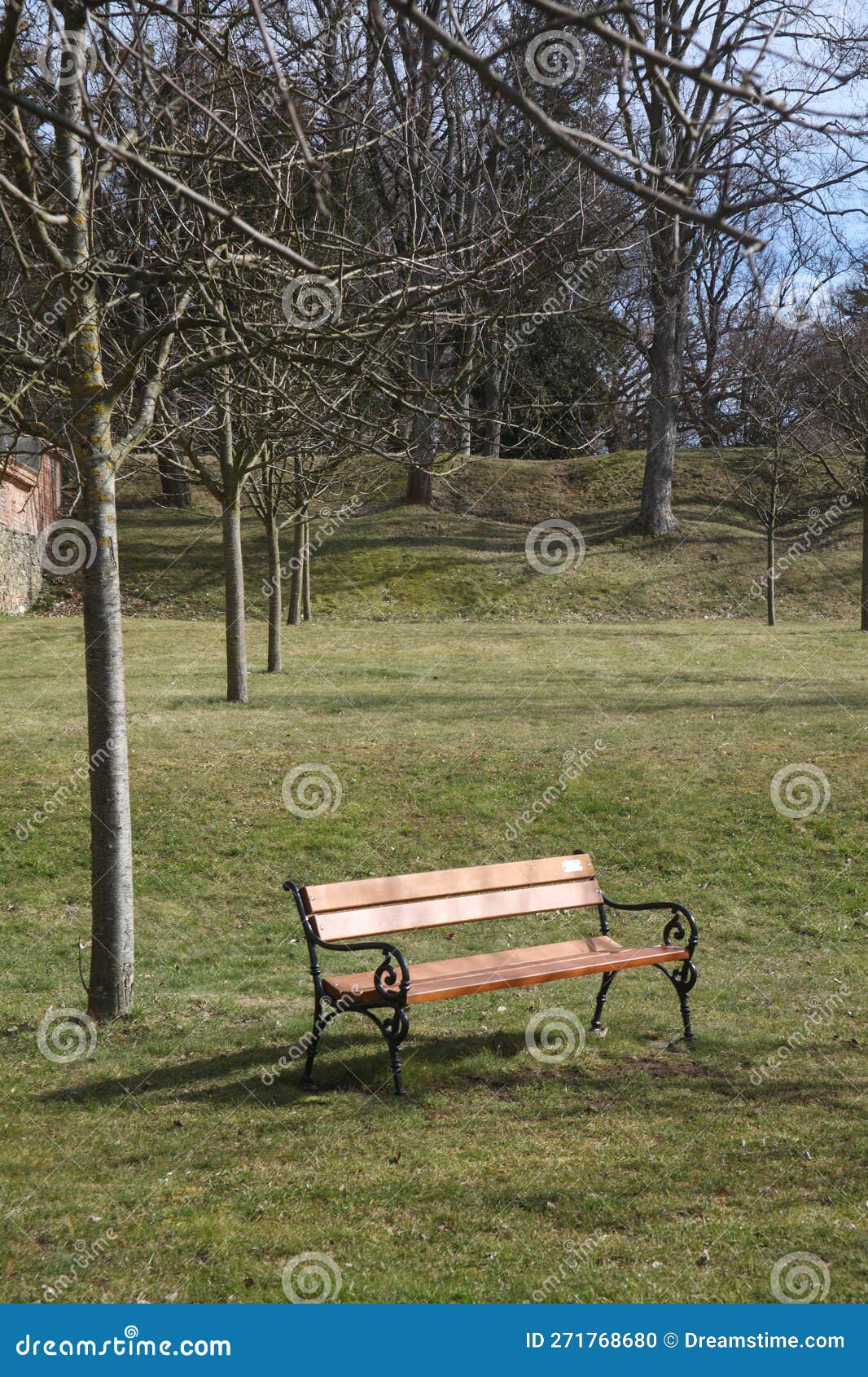 Early Spring Garden with a Bench Stock Photo - Image of woodland, plant ...