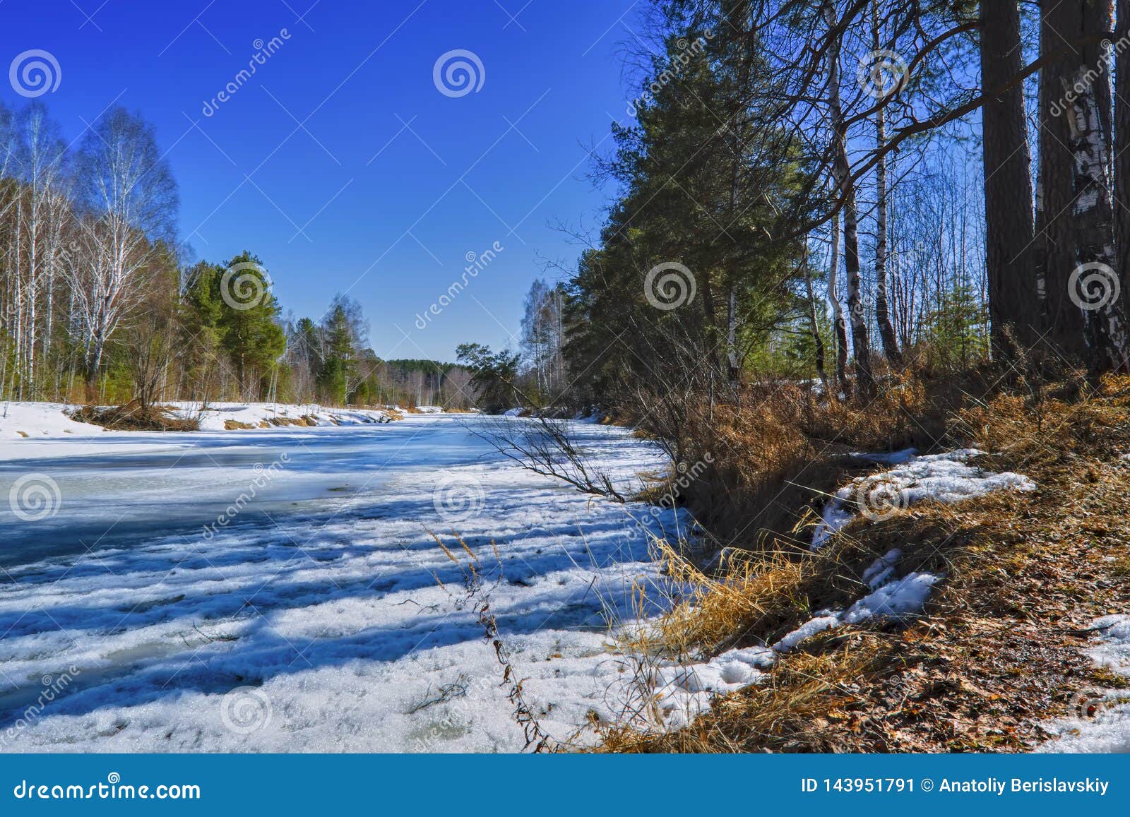 Early Spring Ice Melts on a Small Forest River Stock Image - Image of beauty, grass: 143951791