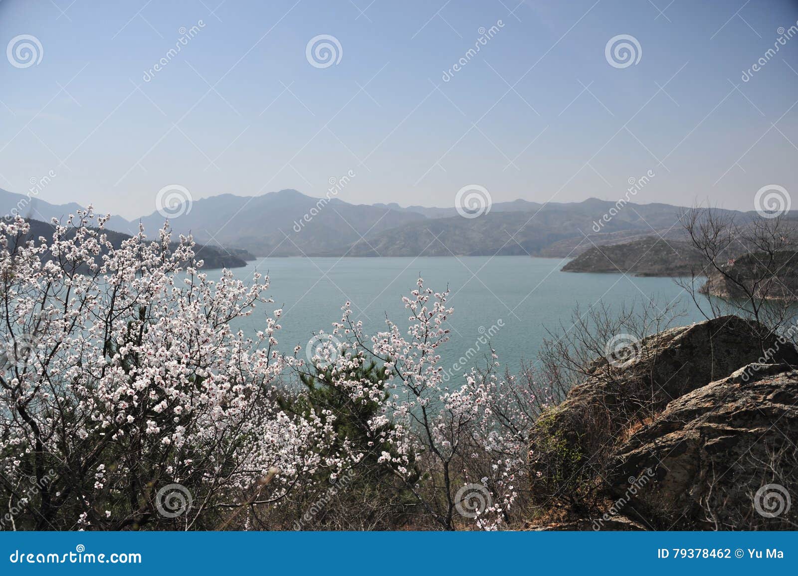 Early spring stock photo. Image of lake, flower, mountain - 79378462
