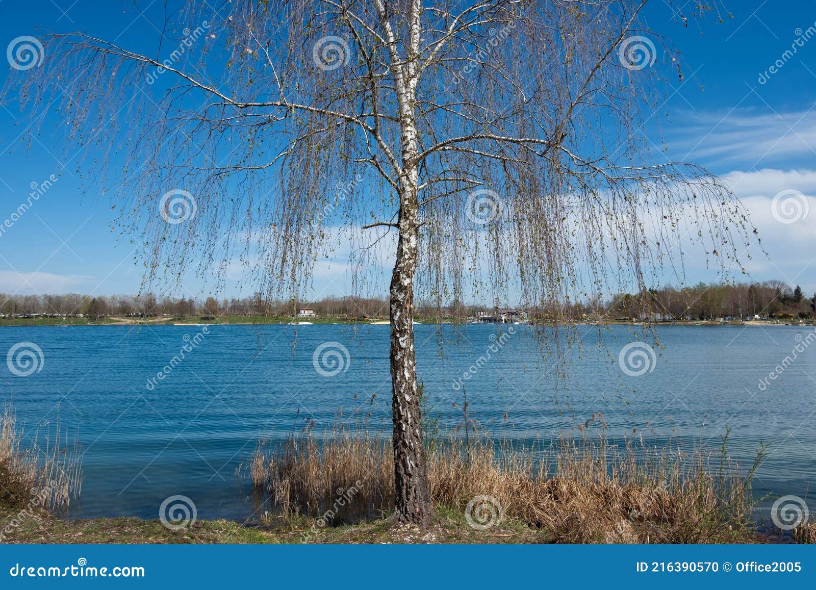 Early spring on lake ausee stock photo. Image of landscape - 216390570