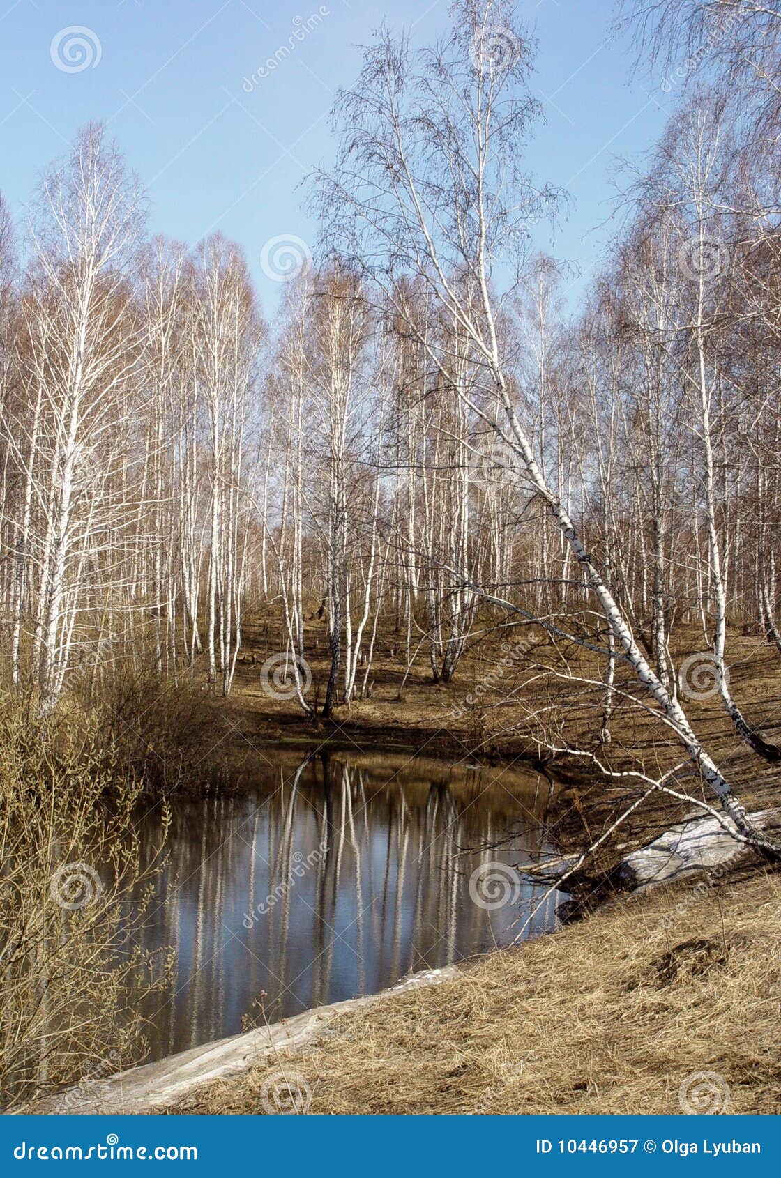 25,492 Early Spring Lake Photos - Free & Royalty-Free Stock Photos from ...