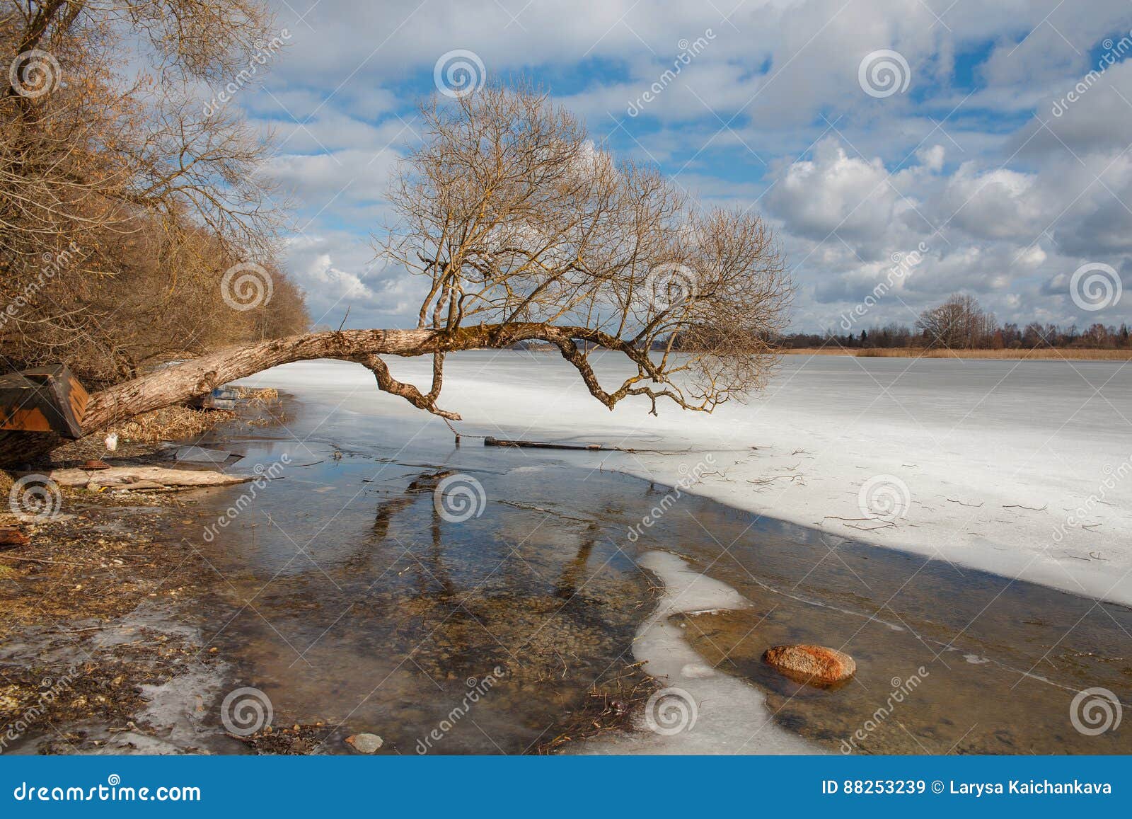 Early spring on the lake. stock image. Image of early - 88253239