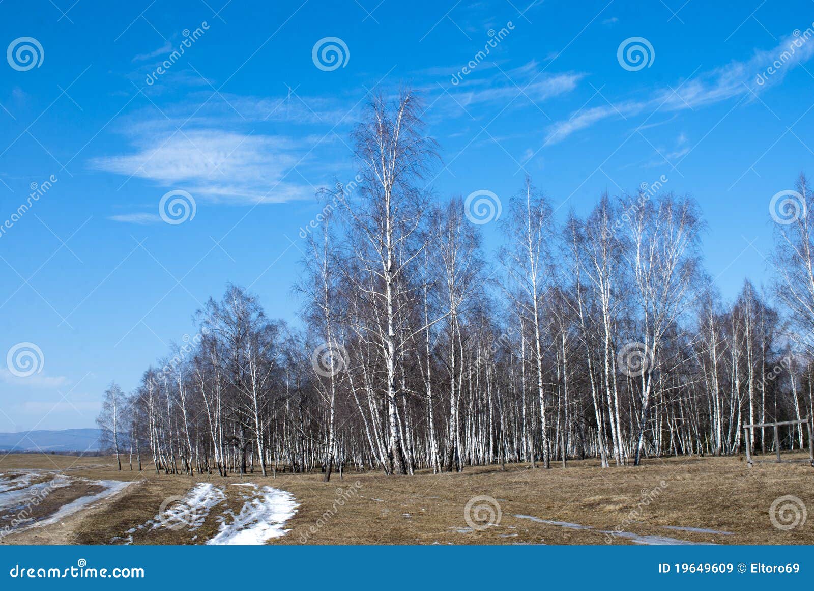 Early spring landscape stock image. Image of conservation - 19649609