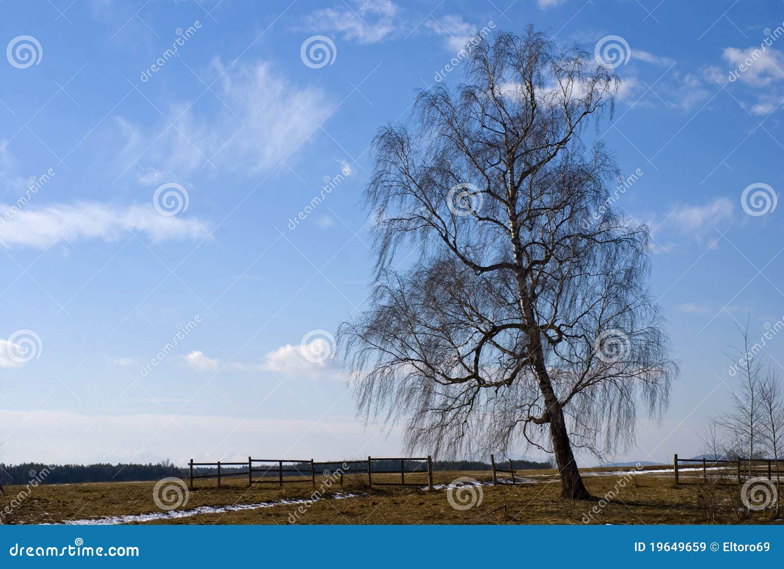 Early spring landscape stock image. Image of adorable - 19649659
