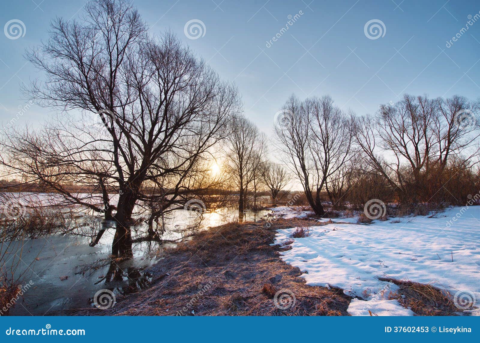 Early spring landscape stock image. Image of thaw, outdoor - 37602453