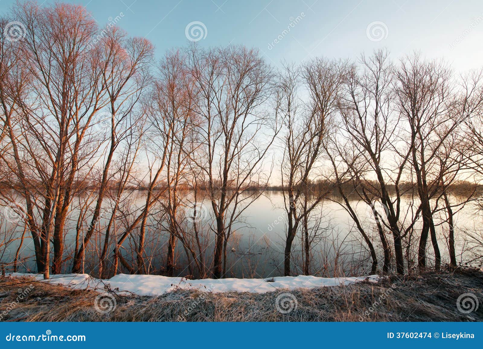 Early spring landscape stock photo. Image of patch, outdoors - 37602474