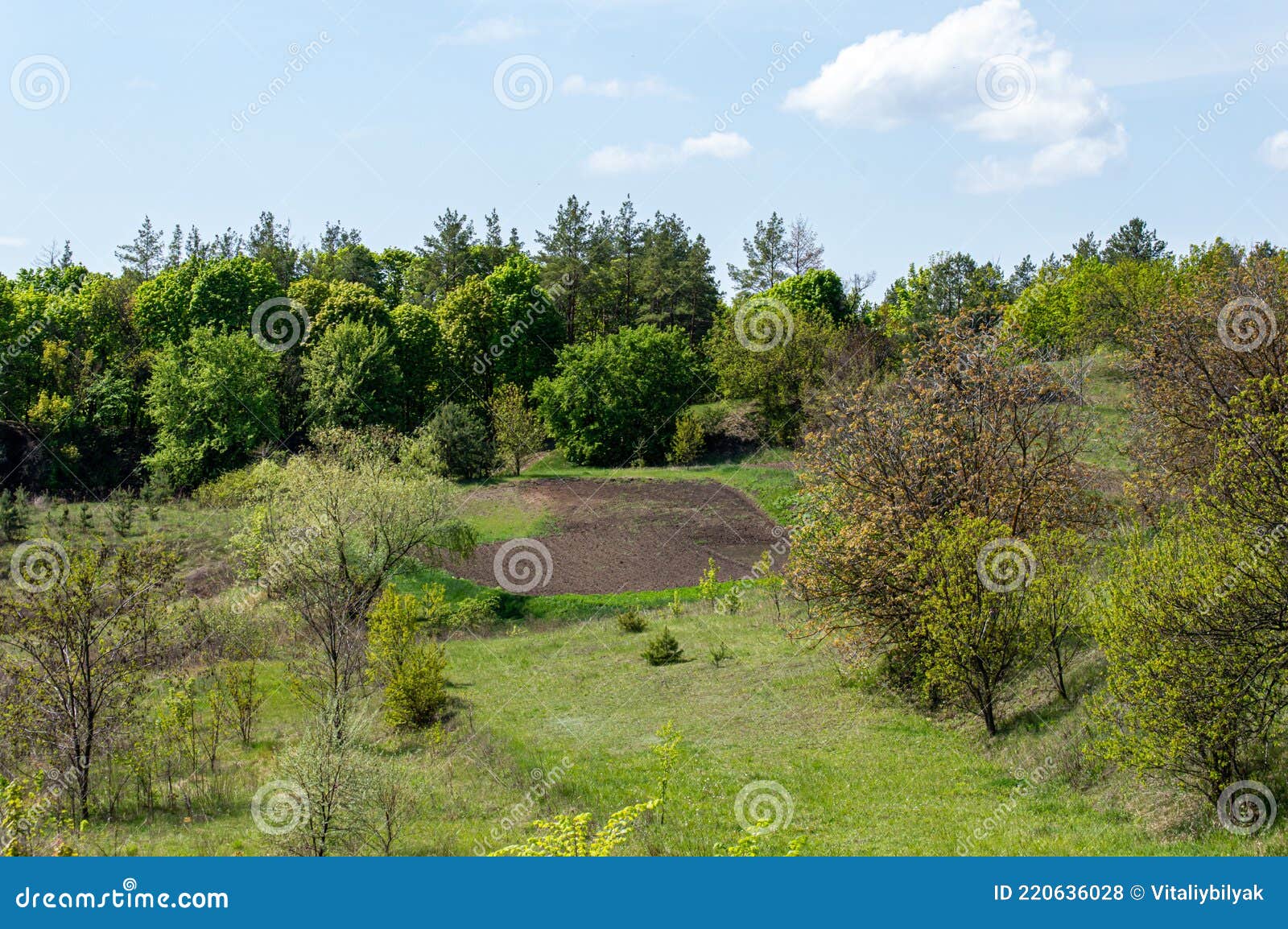 Early spring landscape stock photo. Image of forest - 220636028