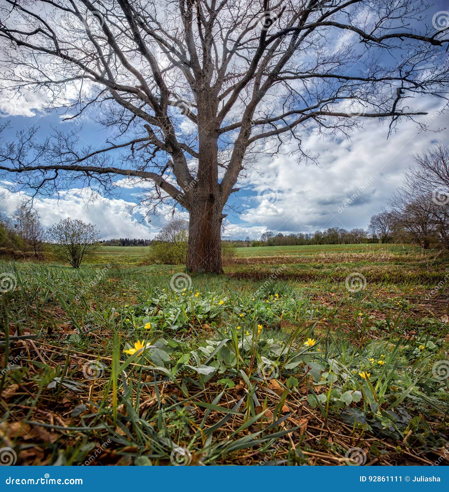 Early spring landscape stock image. Image of fresh, farming - 92861111