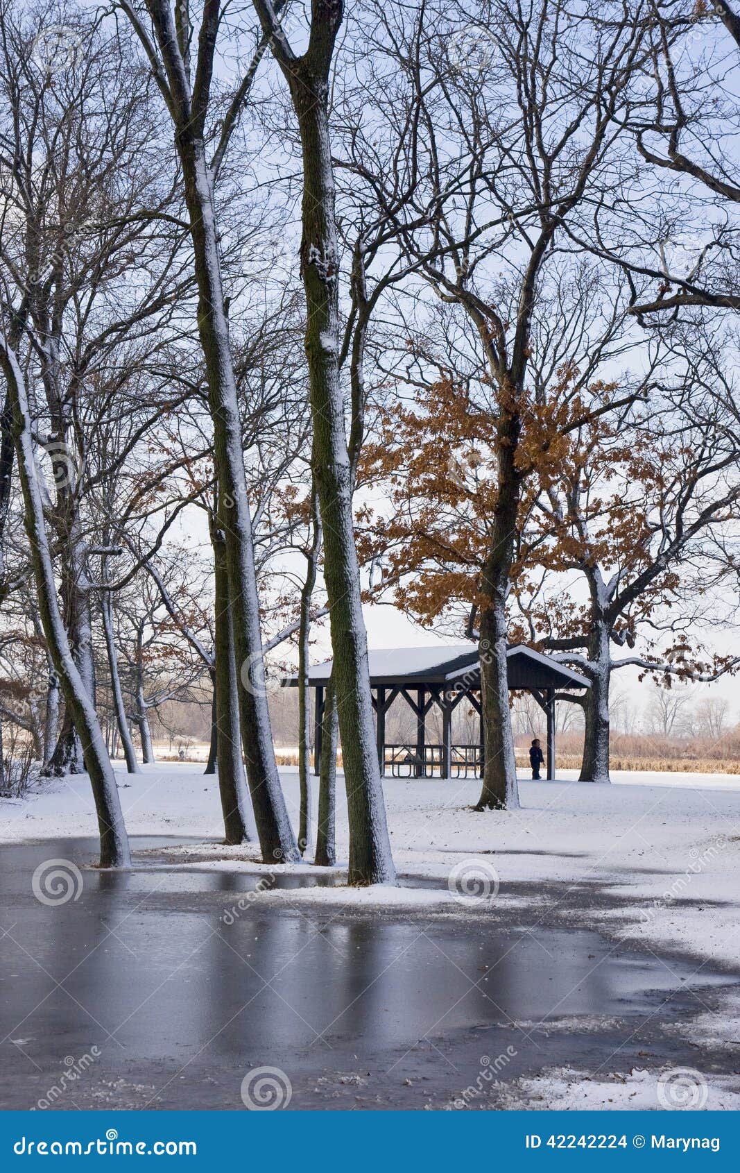 The Early Spring Nature Background Stock Photo - Image of spring, arbor ...