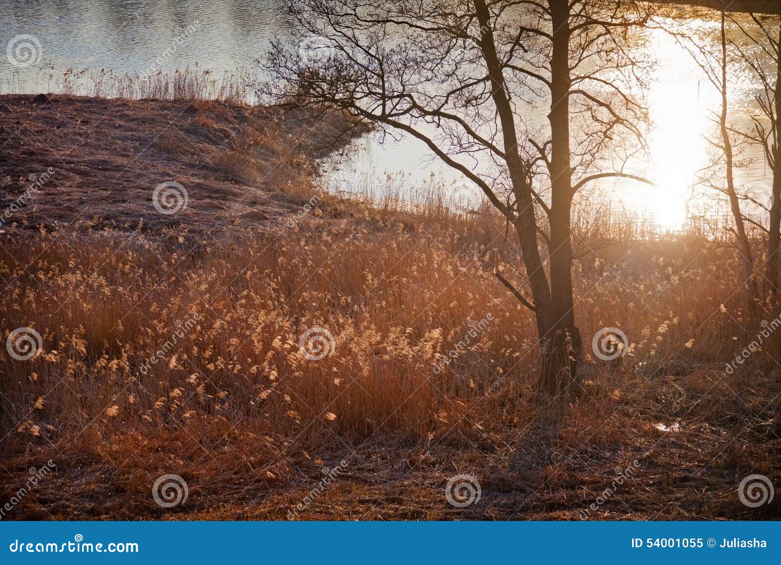 Early spring landscape stock image. Image of spring, grass - 54001055