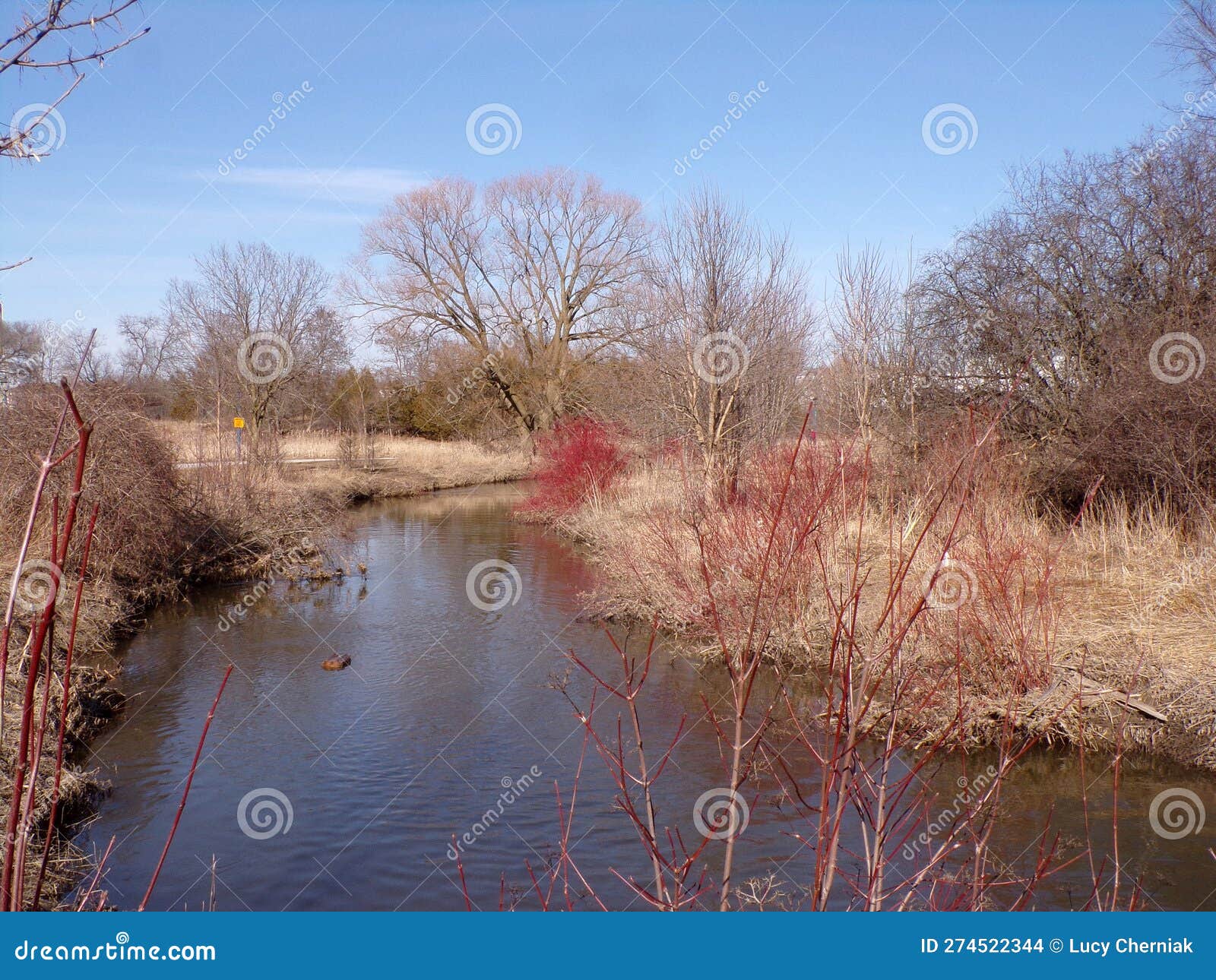 Early Spring Landscape stock photo. Image of spring - 274522344
