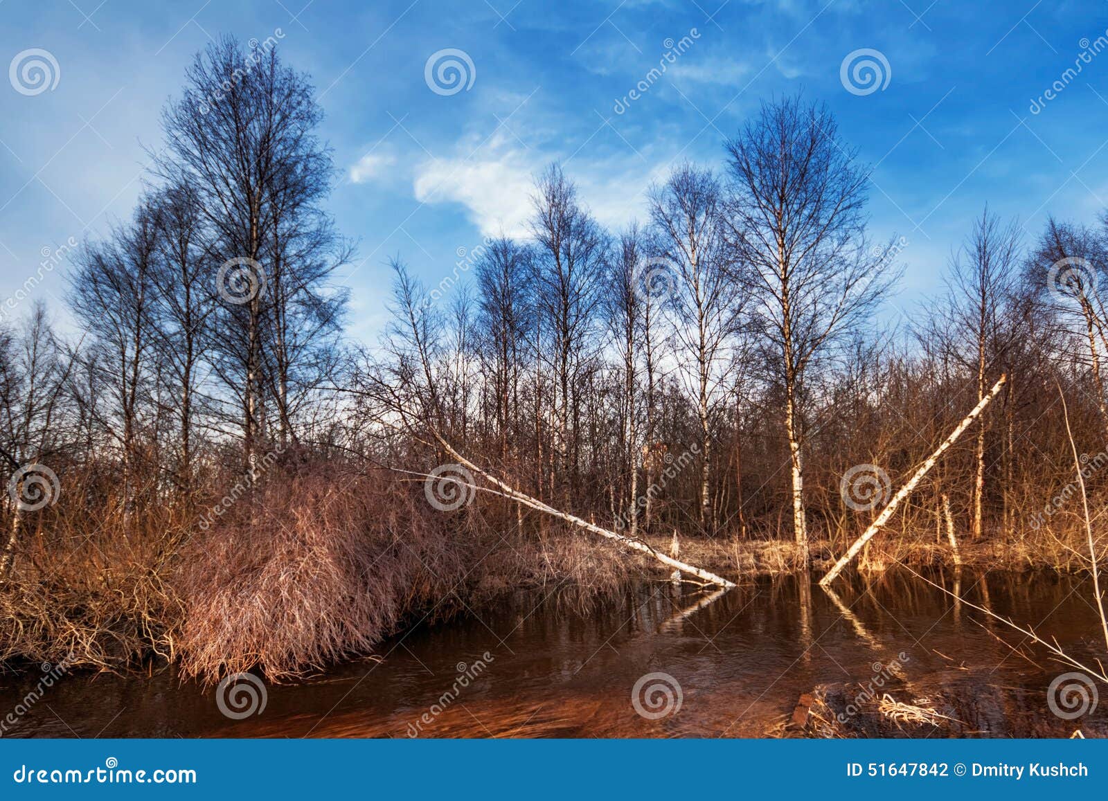 Early spring landscape stock photo. Image of grass, dawn - 51647842