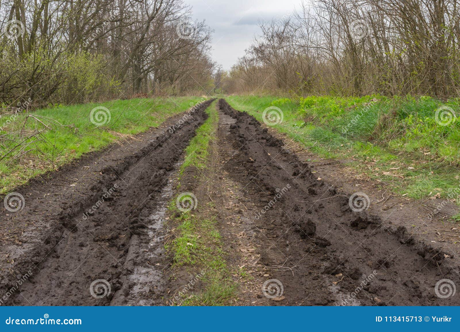 Landscape with Ruts on Dirty Road Stock Image - Image of black, cloud ...
