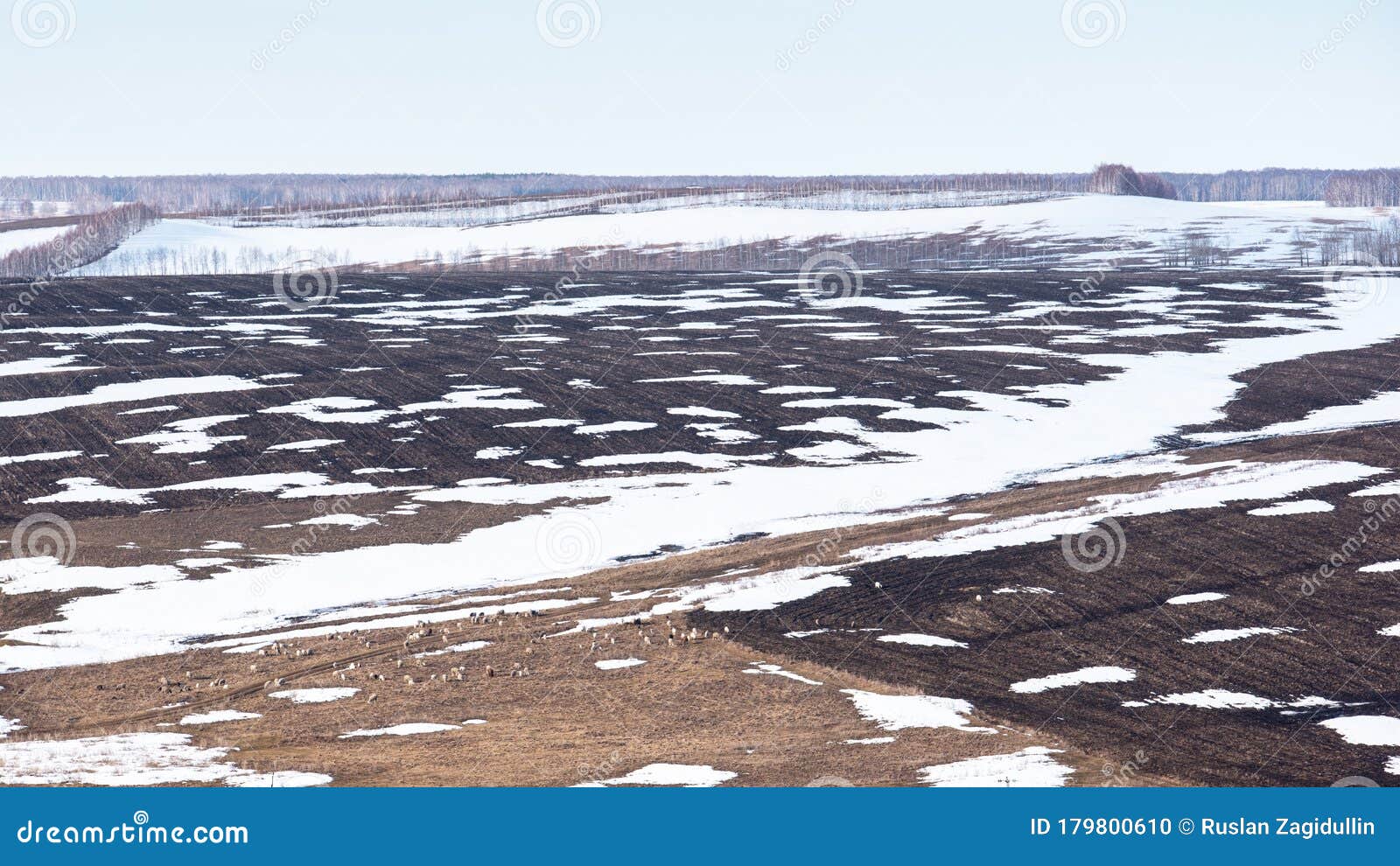 Early Spring. Landscape of Early Spring, Snow Begins To Melt, Fields ...