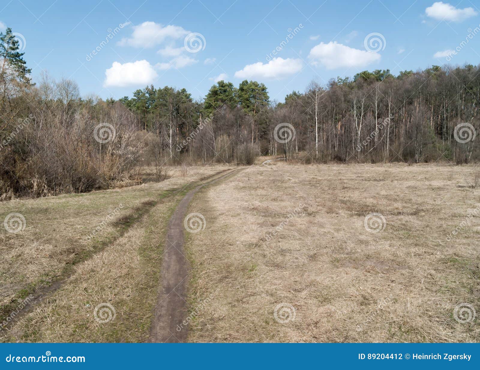 Early spring stock photo. Image of meadow, flora, landscape - 89204412