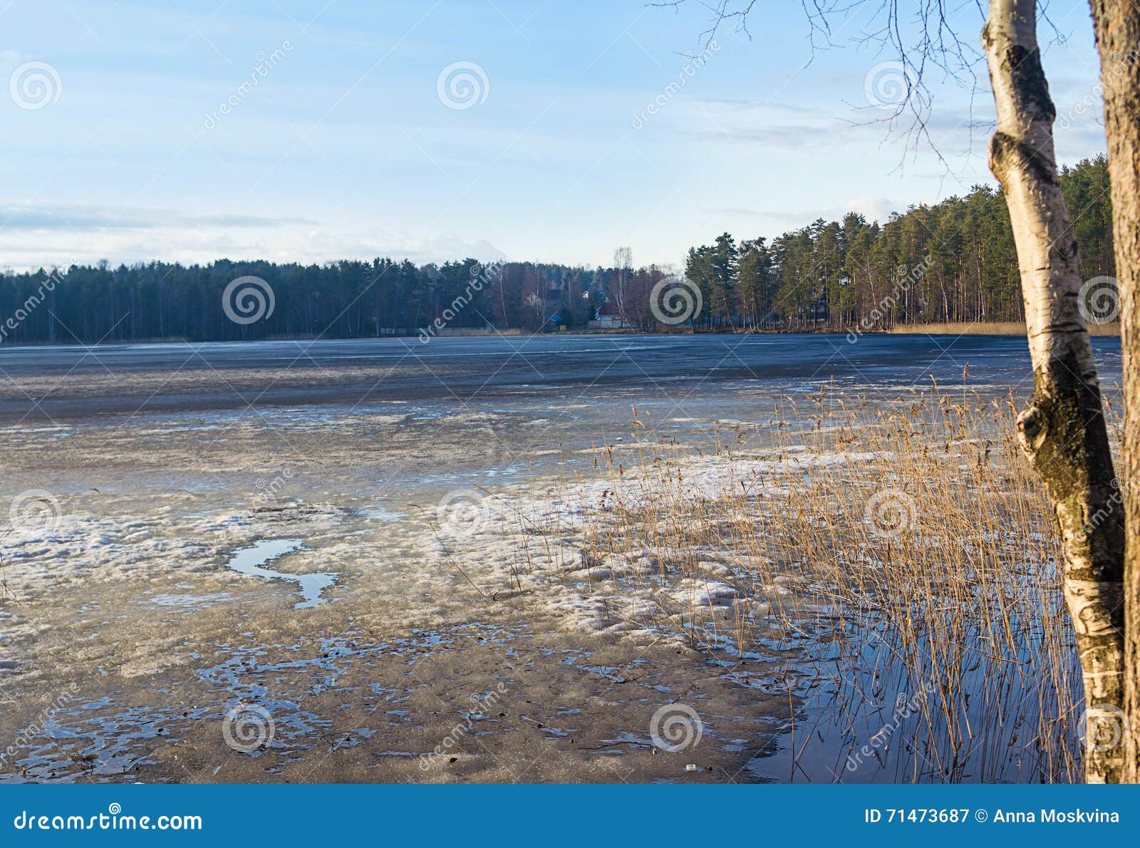 Early Spring with Melting Ice and Snow Stock Image - Image of outdoor ...