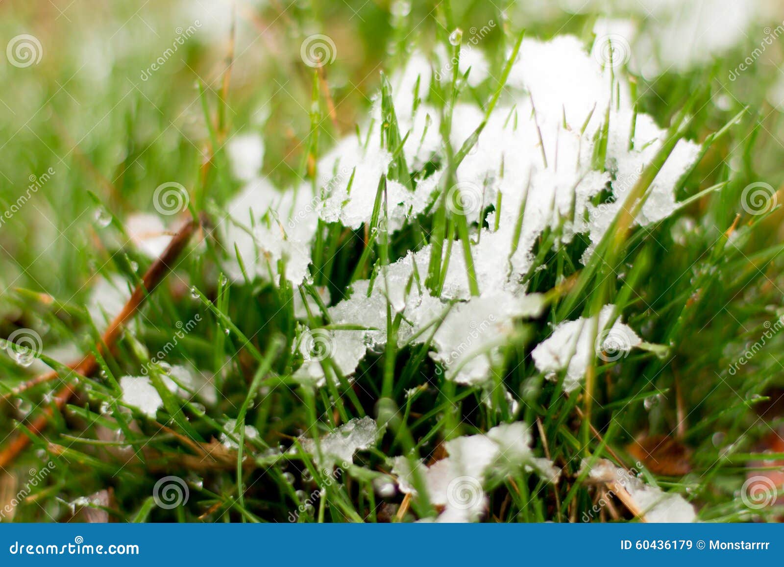 Early spring stock image. Image of snow, warm, reservation - 60436179