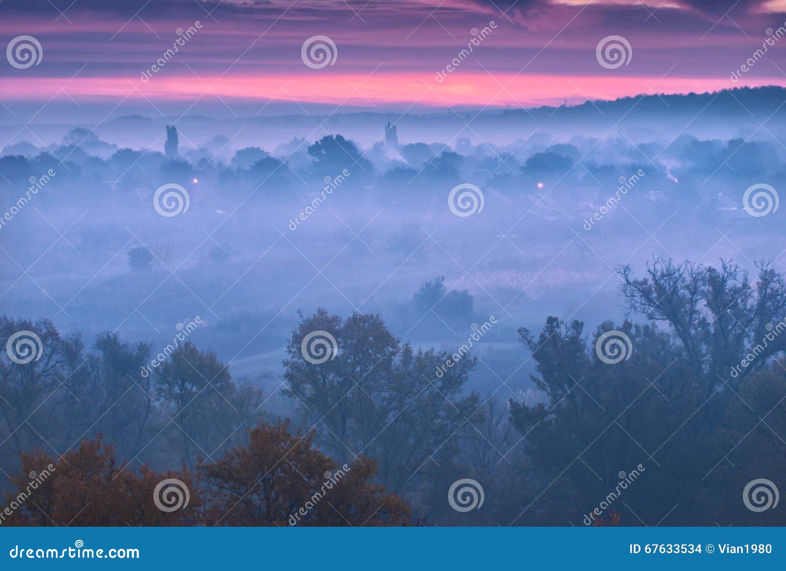 Early spring morning stock photo. Image of forest, countryside - 67633534