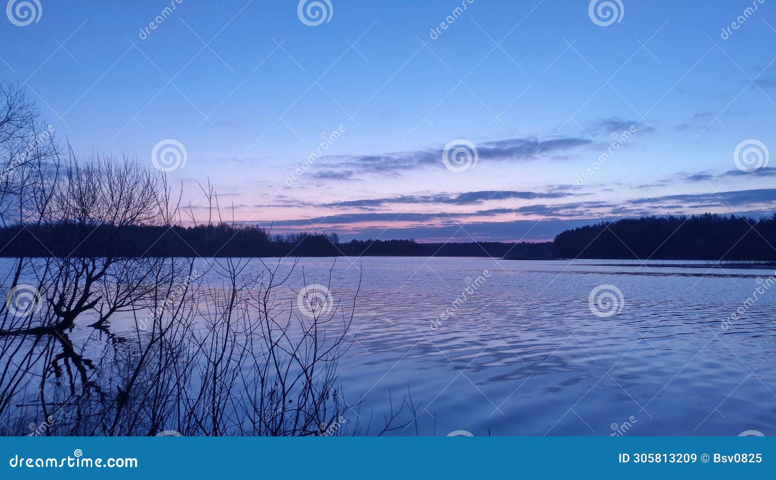 On an Early Spring Morning, the Sun Has Not yet Risen Above the Trees ...