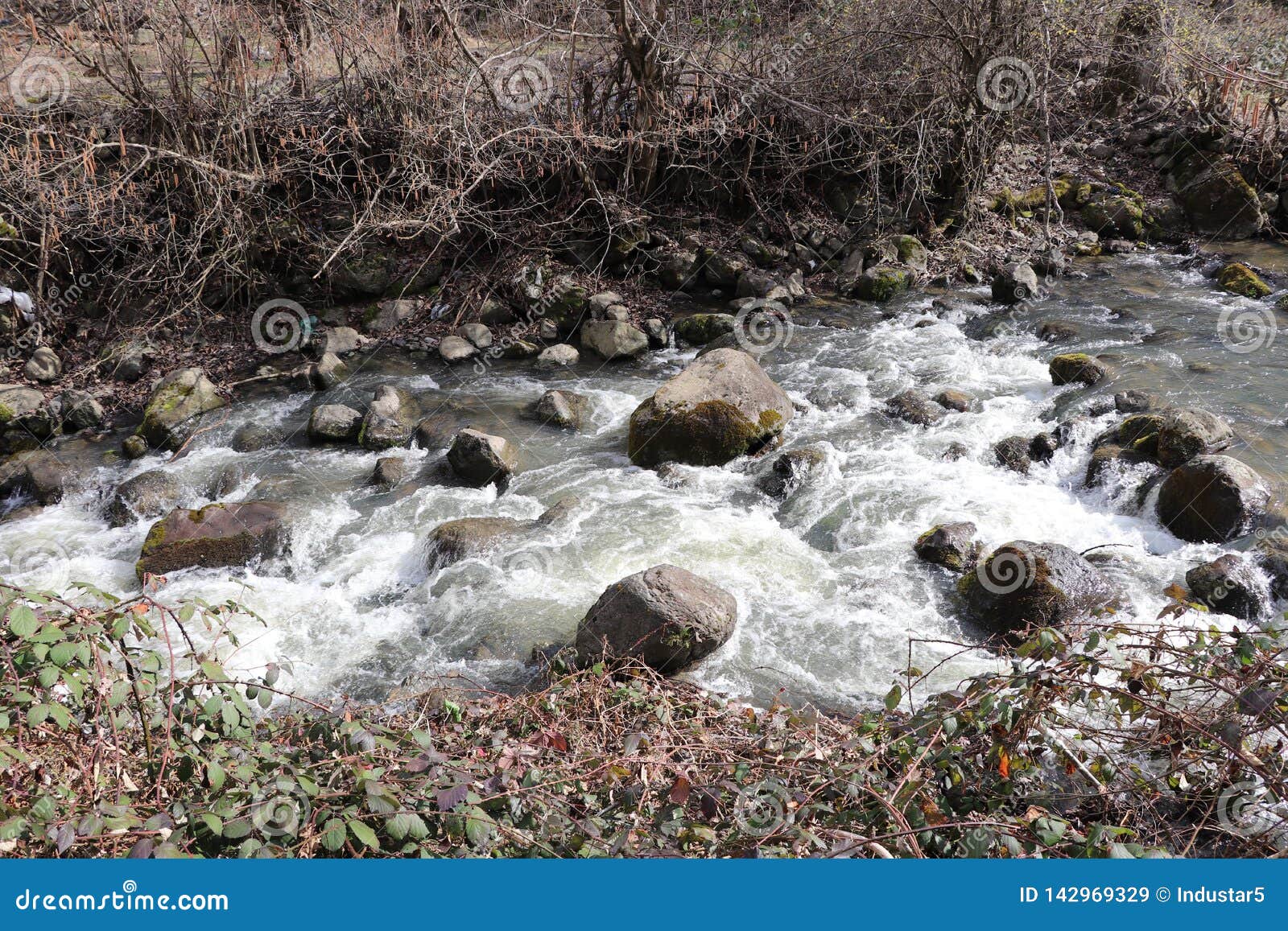 Mountain river flows fast stock image. Image of current - 142969329