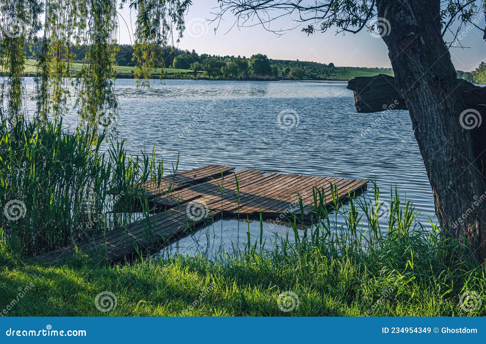 Early spring nature stock image. Image of frost, nature - 234954349