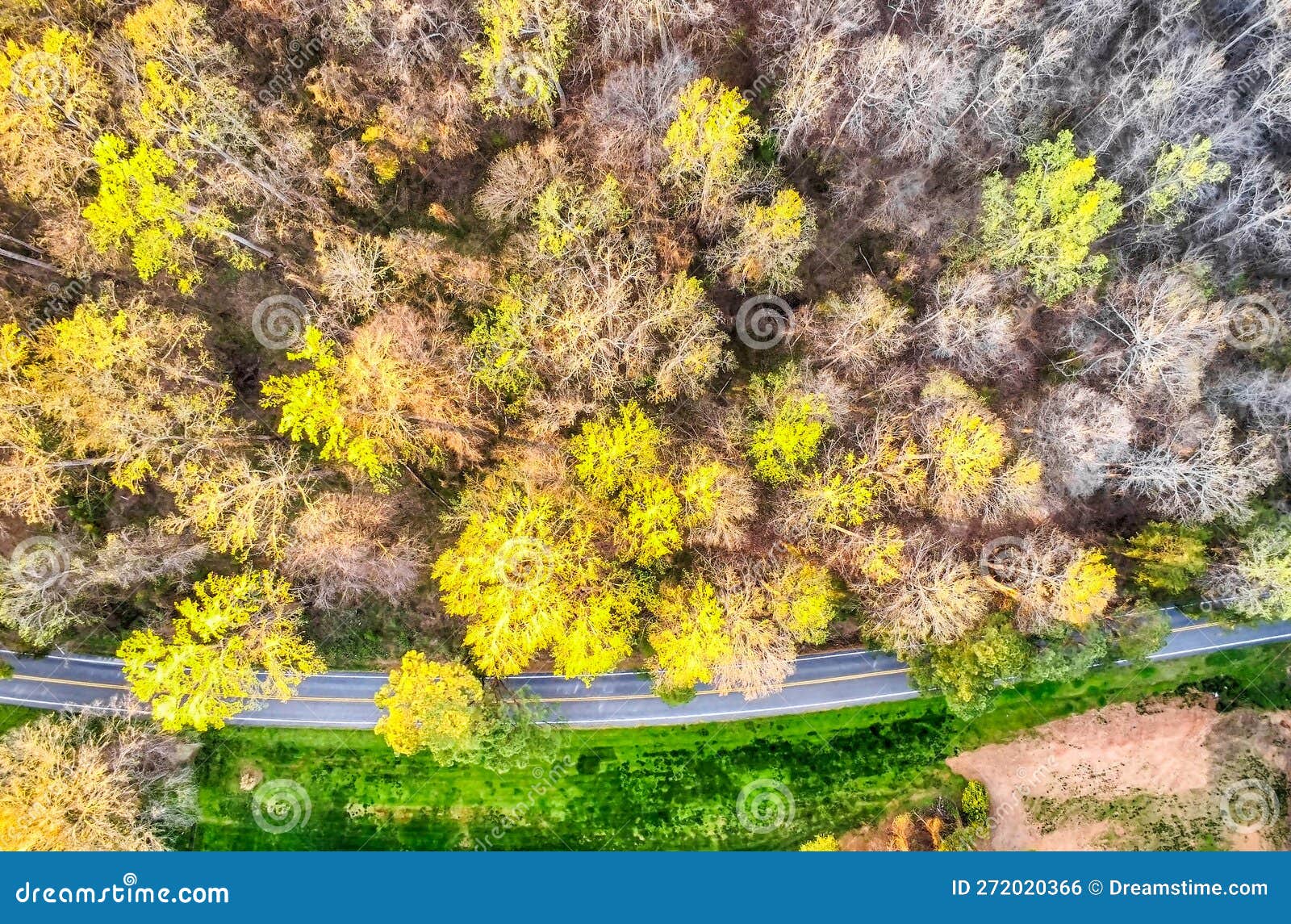 Early Spring in the Neighbourhood Scenes Stock Photo - Image of early ...