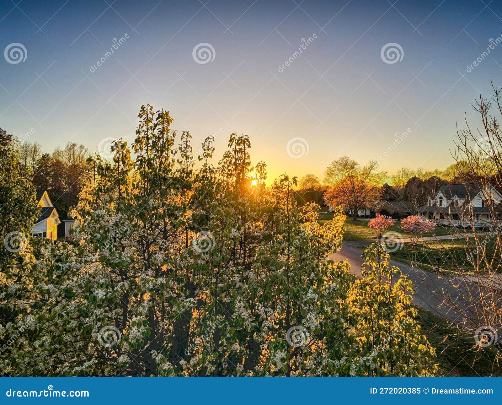 Early Spring in the Neighbourhood Scenes Stock Image - Image of grass ...
