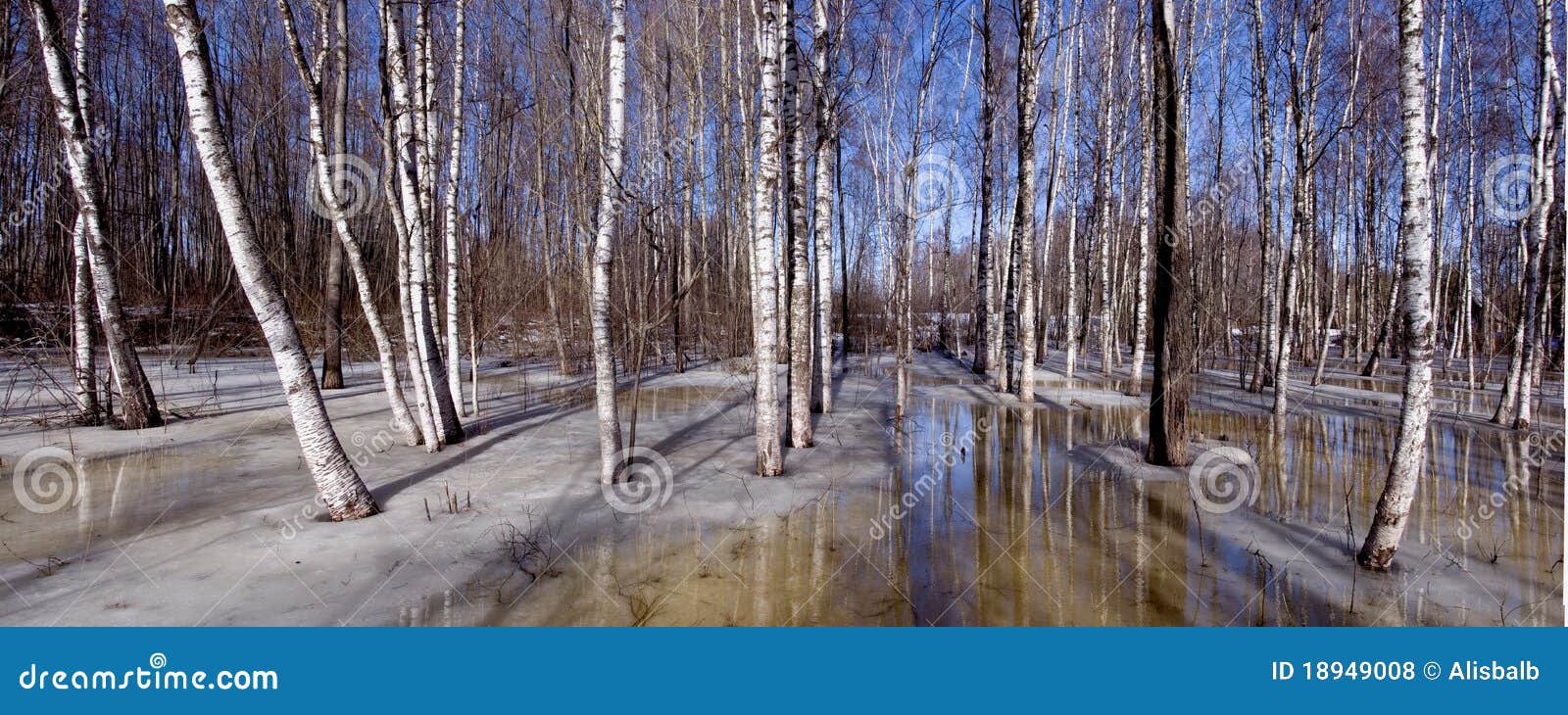 Early Spring Panoramic Landscape Stock Photo - Image of wilderness ...