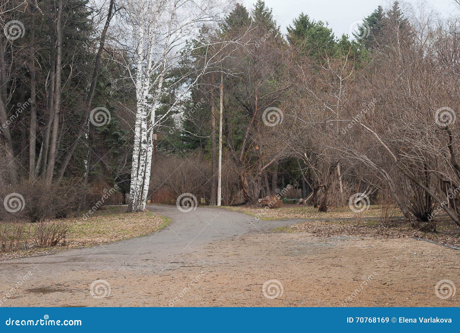 Early spring in park. stock image. Image of early, quiet - 70768169