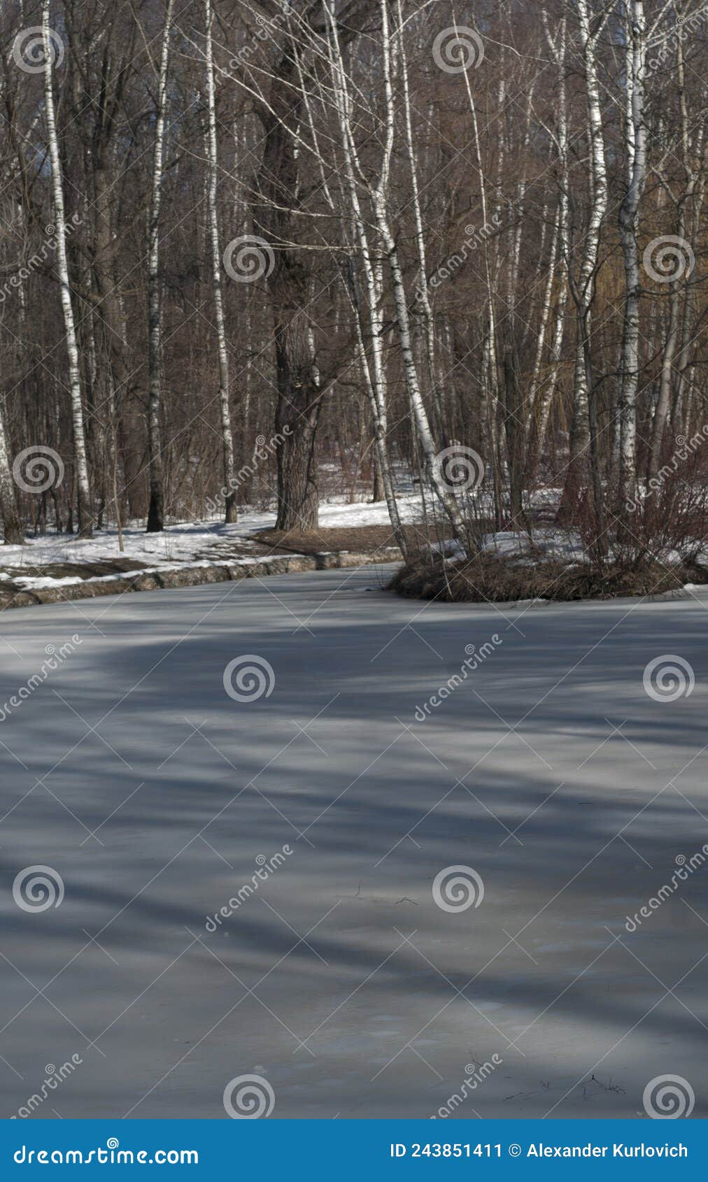 Early spring in a park stock image. Image of pond, global - 243851411
