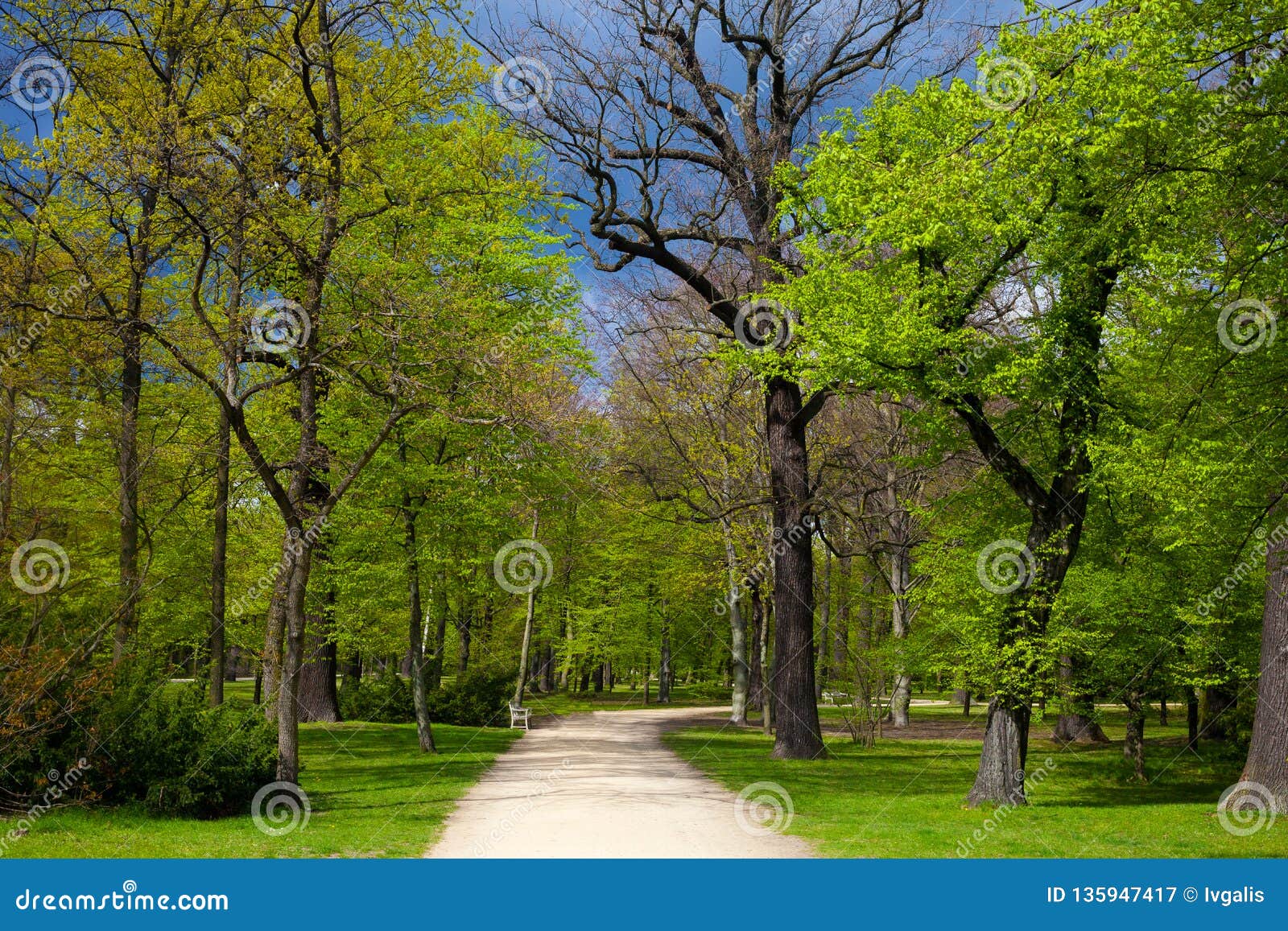 Early spring in the park stock image. Image of beautiful - 135947417