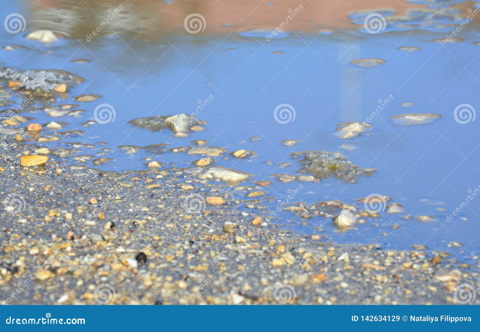 Puddle with small pebbles stock image. Image of outdoor - 142634129