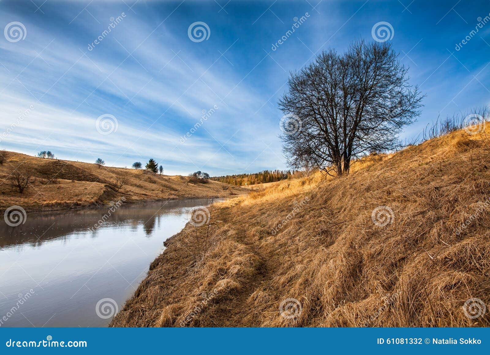 Early spring on the river stock photo. Image of plant - 61081332