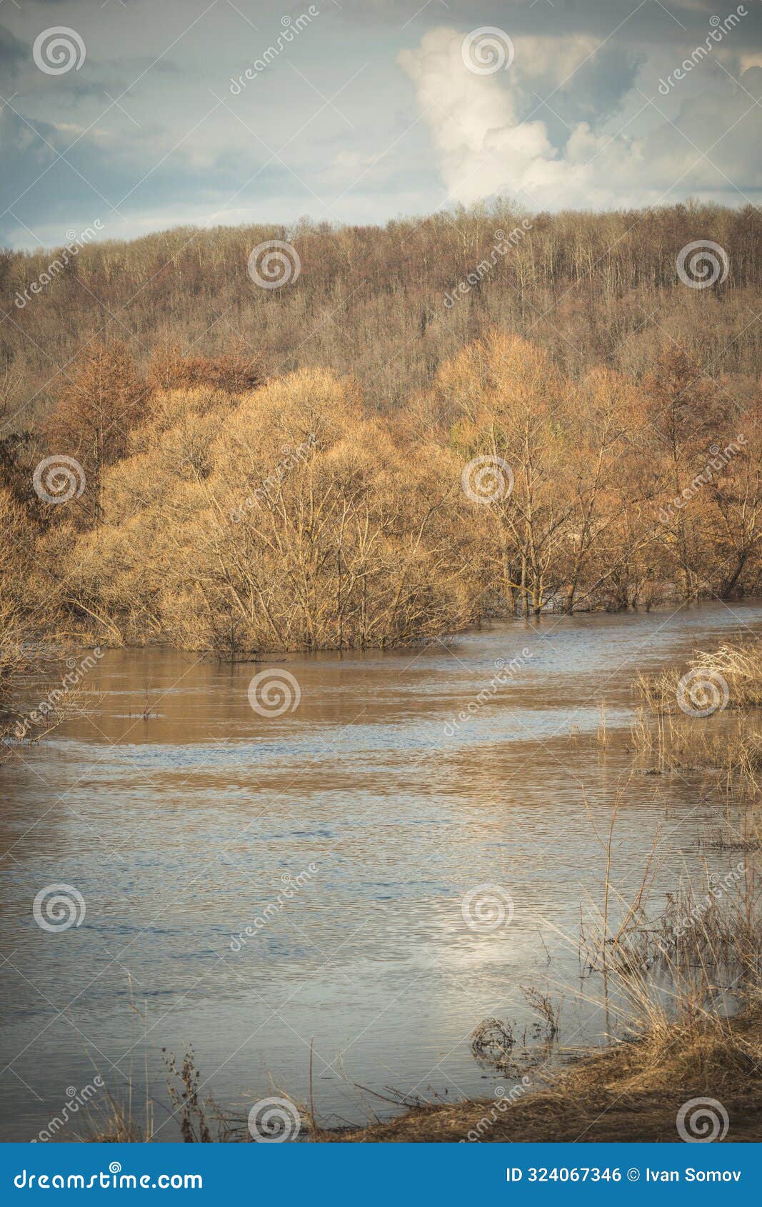 Early Spring on the River in High Water Stock Photo - Image of ...